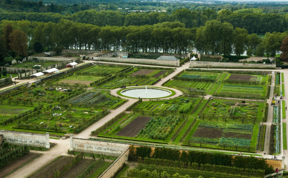 Visite du Potager du Roi à Versailles